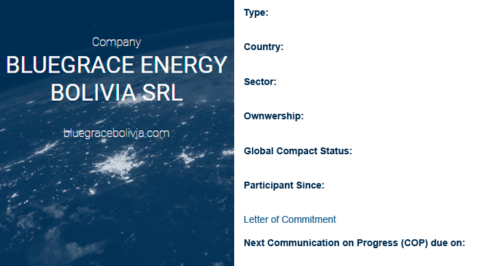 listado-CDM-bluegrace-vtable - Bluegrace Energy Bolivia